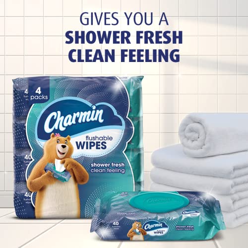 Charmin Flushable Wipes, 4 packs, 40 Wipes Per Pack, 160 Total Wipes