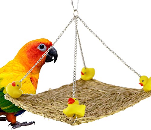 Bonka Bird Toys 1554 Ducky Platform Bird Toy Parrot cage Toys Cages African Grey Amazon Swing. Quality Product Hand Made in The USA.