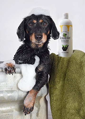 BotaniVet Certified Organic Manuka Honey Pet Shampoo 16 Oz - 100% Natural Ingredients - Veterinary Dermatologist Formulated for Allergies and Itching