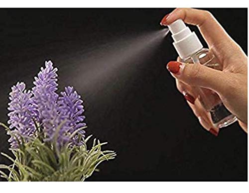 LASSUM 10 Pack 10ml/0.35oz Fine Mist Spray Bottle Clear Plastic Mini Spray Bottle for Essential Oils Makeup and Perfume