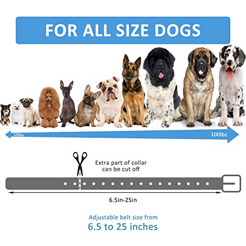 LuckinPET Waterproof Dog Collar Replacement Strap for Shock Collar and Fence Easy Clean Odorless Dog Collar Metal Buckle 3/4 Inch Adjustable Size Durable Anti-Odor TPU Dog Collar