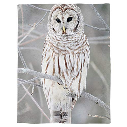 Greeeen Plush Fleece Throw Blanket | Fuzzy, Soft, Warm, Cozy, Reversible Blanket for Bed Couch Sofa Chair Travel- 49" x 59" Winter Owl