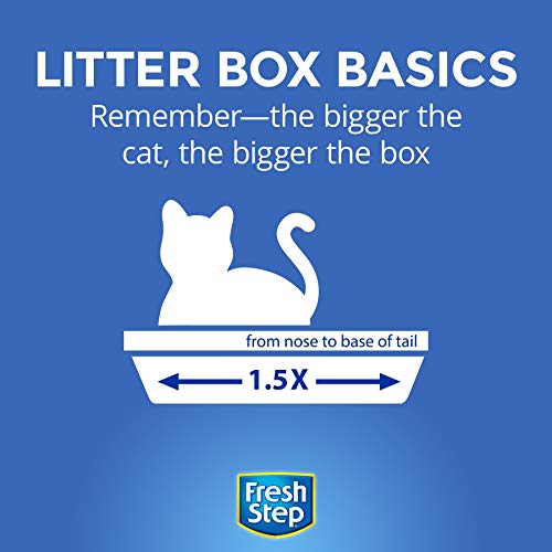 Fresh Step Extreme Scented Litter with the Power of Febreze, Clumping Cat Litter Mountain Spring, 34 Pounds