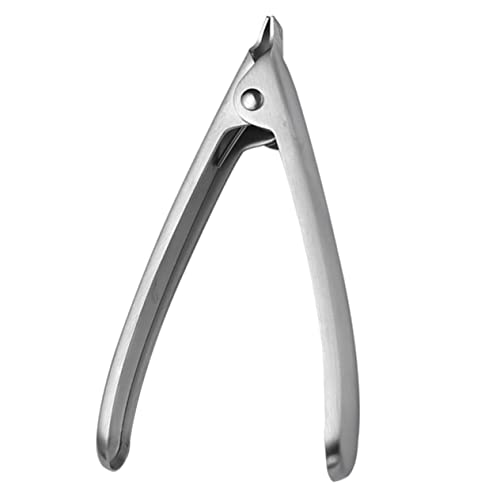 BESTonZON 3pcs Stainless Steel Clam Opener Blood Clam Clip Crab Crackers Seafood Tools Set Stainless Clam Clip Small Clam Opener Clam Clamp Kitchenware To Open Silver Oyster Shucking Knife