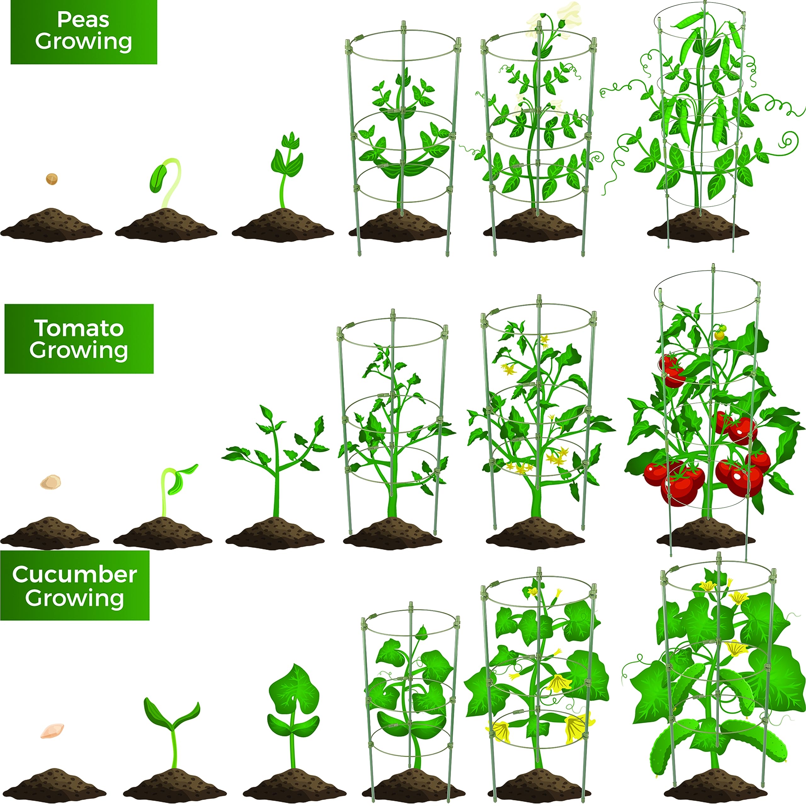 3 Pack Adjustable Tomato Plant Support, 32 Inch Adjustable Tomato Plant Support with 3 Adjustable Ring for Vegetables,Fruit,Rose Vine Climbing Plants Cucumber Trellis.