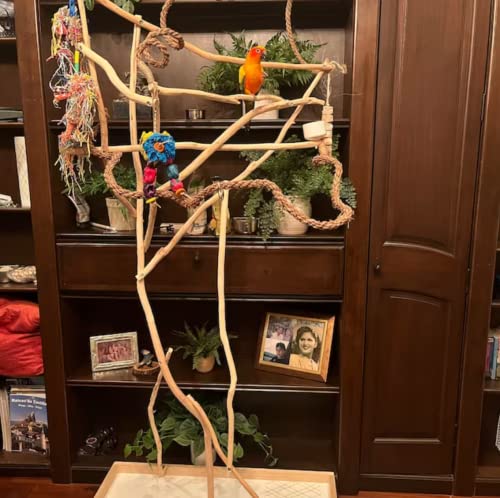 Exoticdad Parrot Stand - Reptile Birds Perches For Parrots - Wood Perches Stand For Parrot - Uniquely Sanded ,Custom Made Designed For Parrots, Cockatoo, Parakeets- 2ft x 3ft Base and 5.5-6ft Height