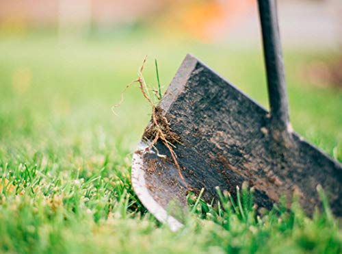 Kwik Edge Tool - Garden Edger Weeder - Soil Cultivator - Hoe Long Handle Grass Flower Backyard Gardening Tool