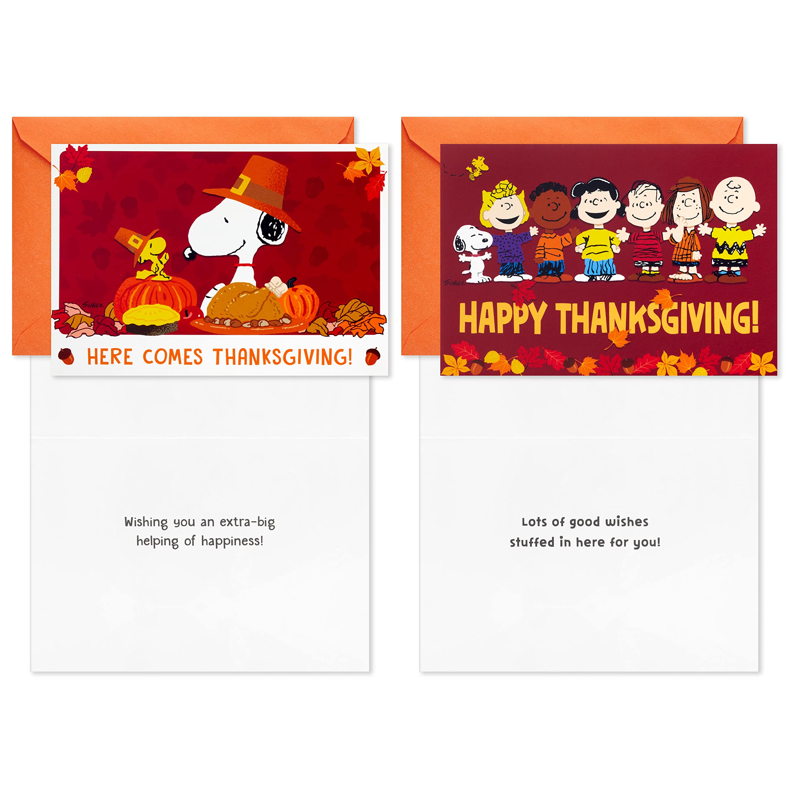 Hallmark Peanuts Thanksgiving Cards Assortment, Snoopy and Friends (16 Assorted Cards with Envelopes)
