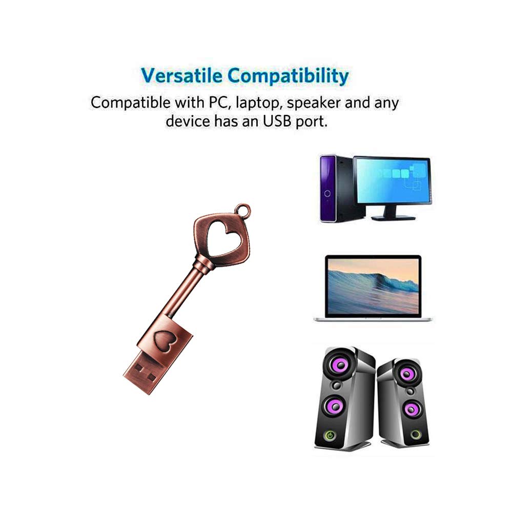 GARRULAX USB Flash Drive, 8GB / 16GB / 32GB / 64GB USB 2.0 Metal USB Memory Stick Date Storage Pendrive Thumb Drives (16GB, Heart Key)