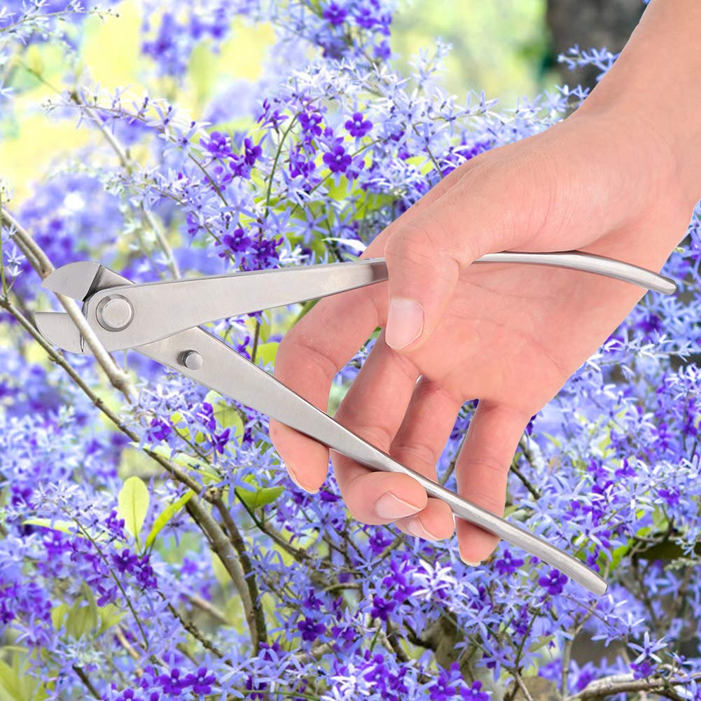 8inch Concave Cutter Bonsai Tool, Round Branch Cutter, 210mm Stainless Steel Bonsai Cutterround Edge Garden Pruning Shears Branches Cutter Scissors Beginner Bonsai Tools