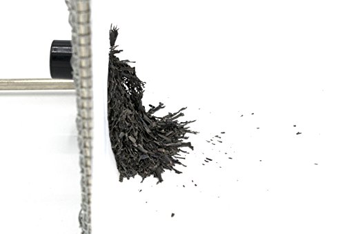 Coarse Iron Filings, 250g - 20 Mesh Iron Shavings for Magnets - Eisco Labs