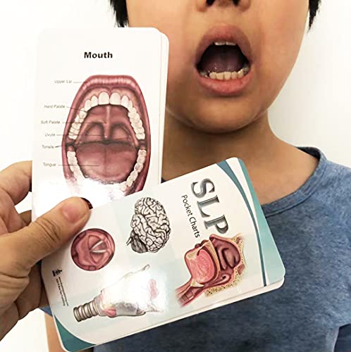 SLP Pocket Charts