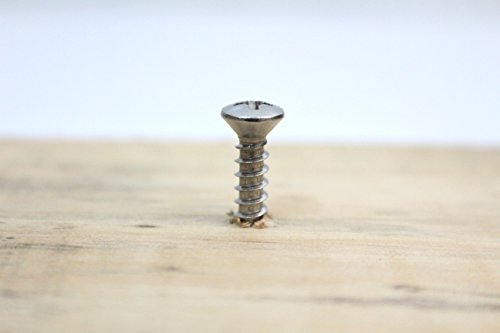 Bolt Dropper No. 8 x 5/8" Stainless Oval Head Phillips Wood Screw, (100 pc), 18-8 (304) Stainless Steel Sheet Metal, Type A Point, Plain Finish
