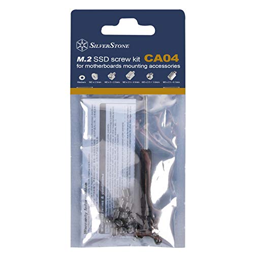 Silverstone SST-CA04 - M.2 SSD Screw kit for Motherboard mounting Accessories