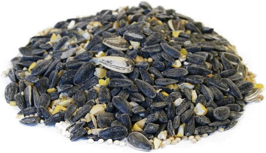 Backyard Seeds Premium Blend Bird Seed to Attract Songbirds - Wild Bird Food Mix with Black Oil Sunflower (40 Pounds)