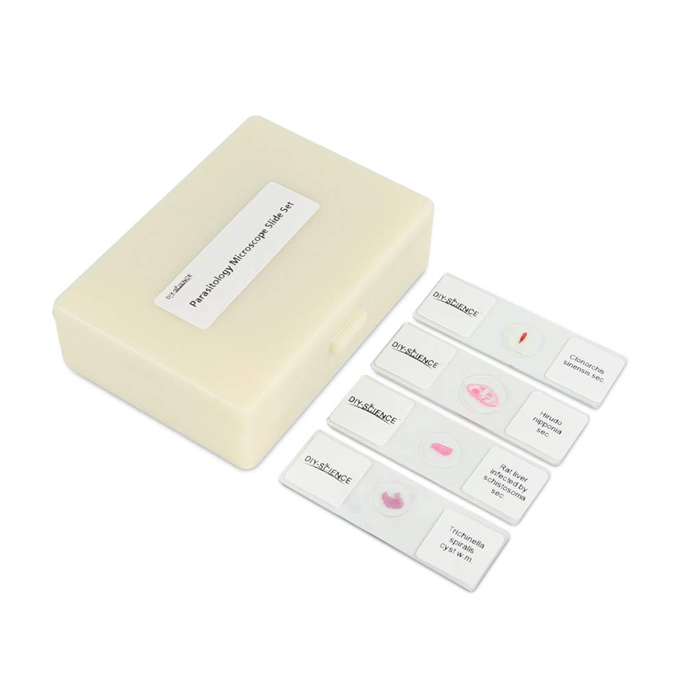 Prepared Parasitology Microscope Slide Set, Excellent 30pcs Slides Resource for Instruction at The College Level (Parasitology)