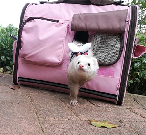 Ferret Harness and Leash Adjustable, Blue Sakura Cotton Cloth Ferret Walking Vest, Soft and Breathable Ferret Lead Leash with Angel Wings and Safe Bell