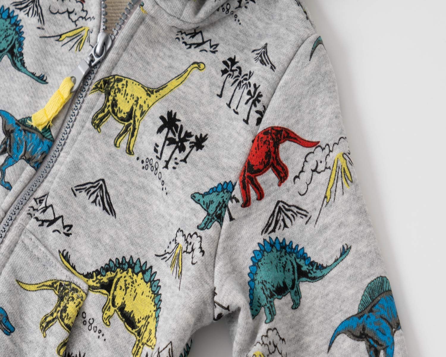 LeeXiang Toddler Boys Full Zip Dinosaur Hoodies Comfortable Sweatshirt (Dinosaur, 4-5T)