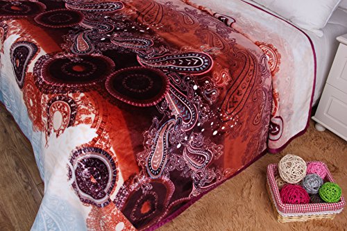 DaDa Bedding Flannel Faux Mink Fleece Throw Blanket - Bohemian Paisley Dreams Silky Soft - Bright Vibrant Floral - Multi Colorful Red Burgundy & Blue - 66" x 90"