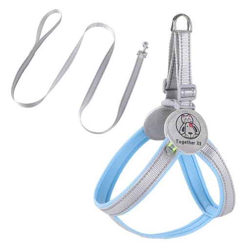 AILEVERS Easy Walk Dog Harness - No Pull Dog Harness，Dog Harness Collar and Leash Set Step in Pet Harness for Small Medium Dogs and Cats Outdoor Walking Running， Dog Vest Harnesses (Pink, XS)