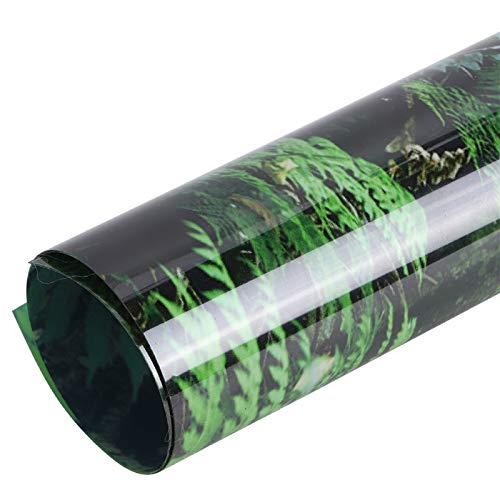 SH-RuiDu Aquarium Background, Durable PVC Reptile Box Rainforest Background Poster Fish Tank Wall Picture Painting Decoration Self Adhesive Sticker for Fish Tank Reptile Box Decorations