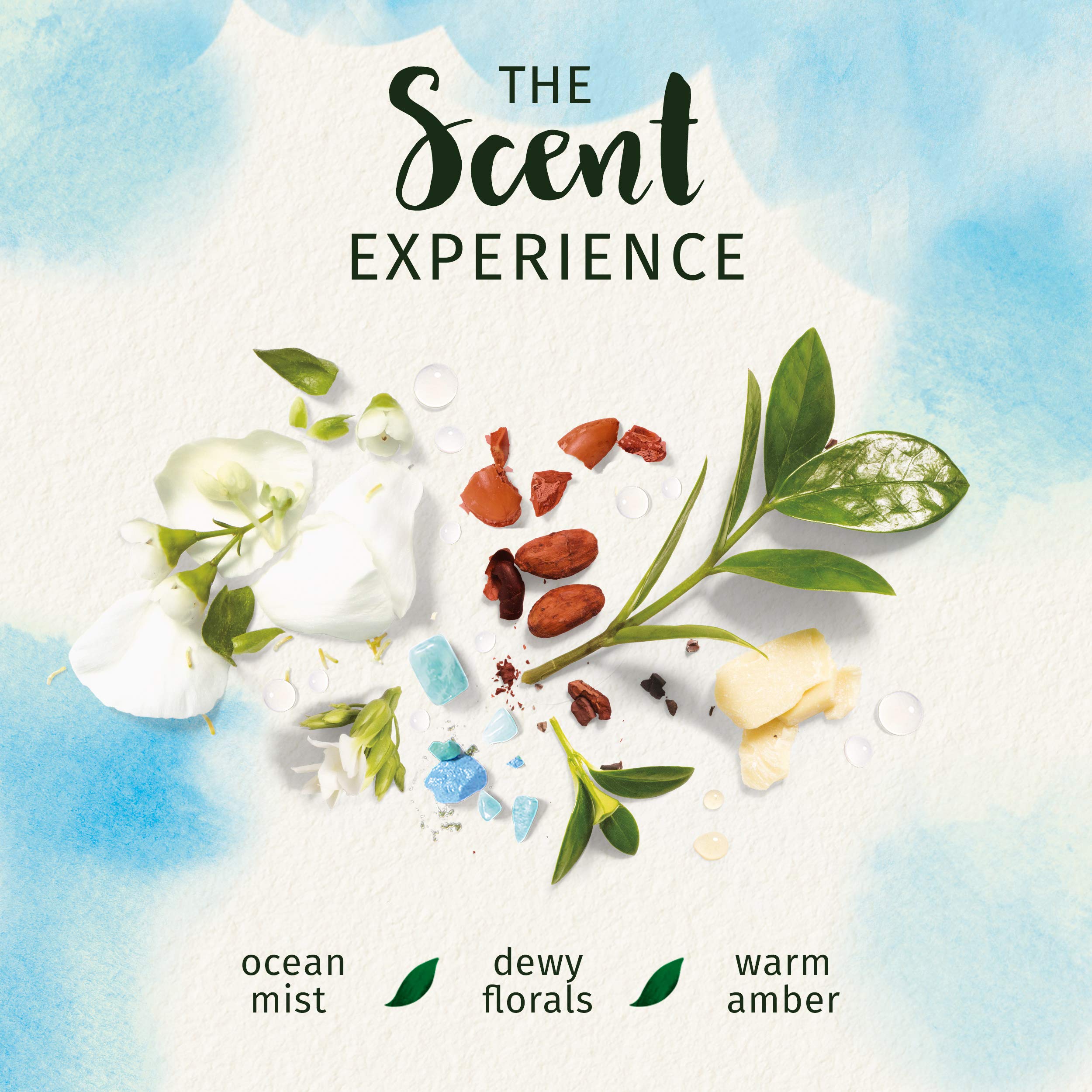 Herbal Essences Bio:Renew Birch Bark Extract Sulfate-Free Conditioner, 13.5 Fluid Ounce