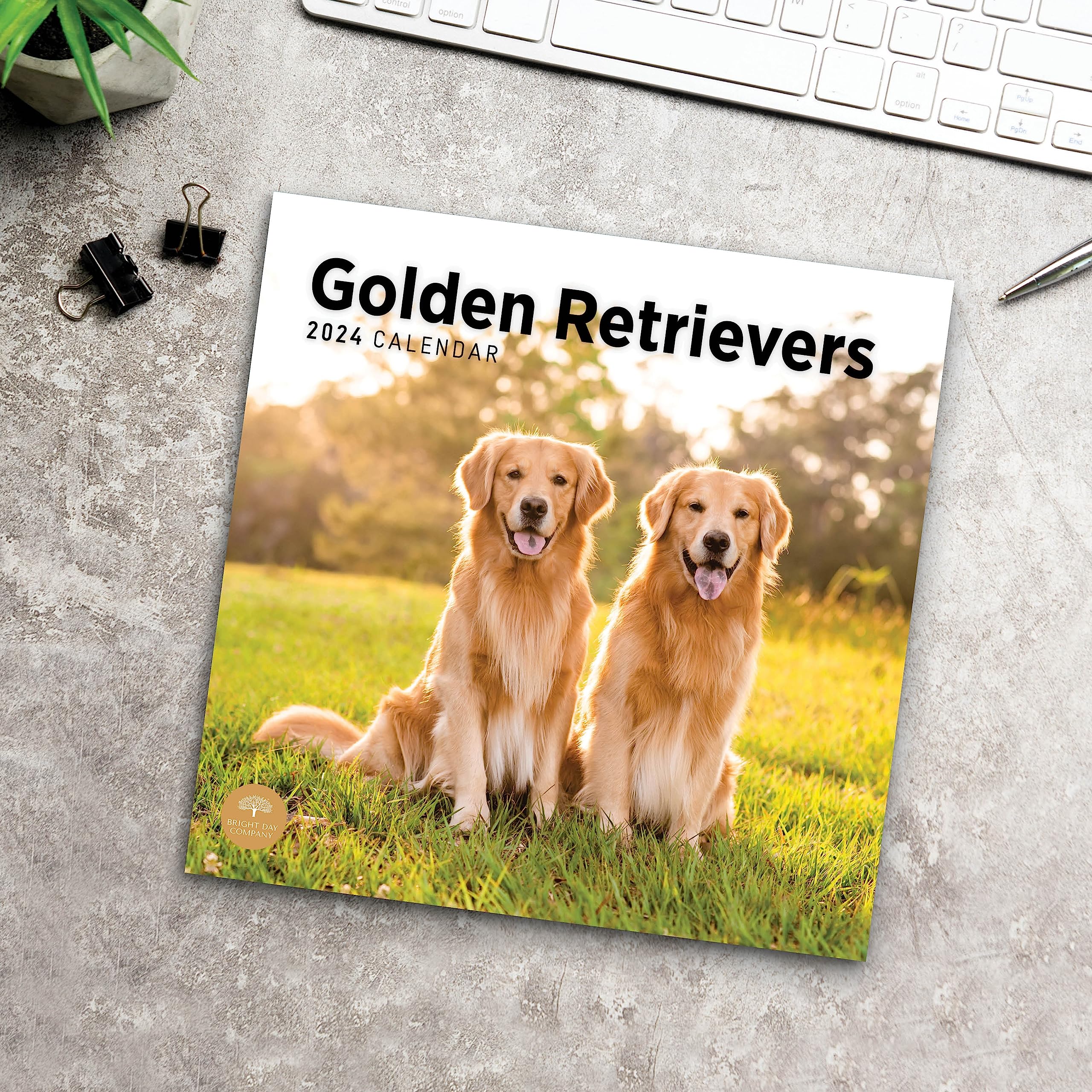 2024 Golden Retrievers Monthly Wall Calendar by Bright Day, 12 x 12 Inch Cute Dog Breed Gift