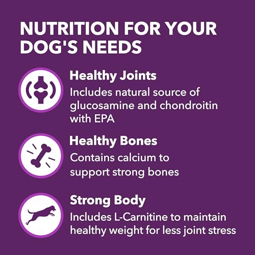 IAMS Advanced Health Mobility Support Chicken and Whole Grain Recipe Adult Dry Dog Food, 6 lb. Bag