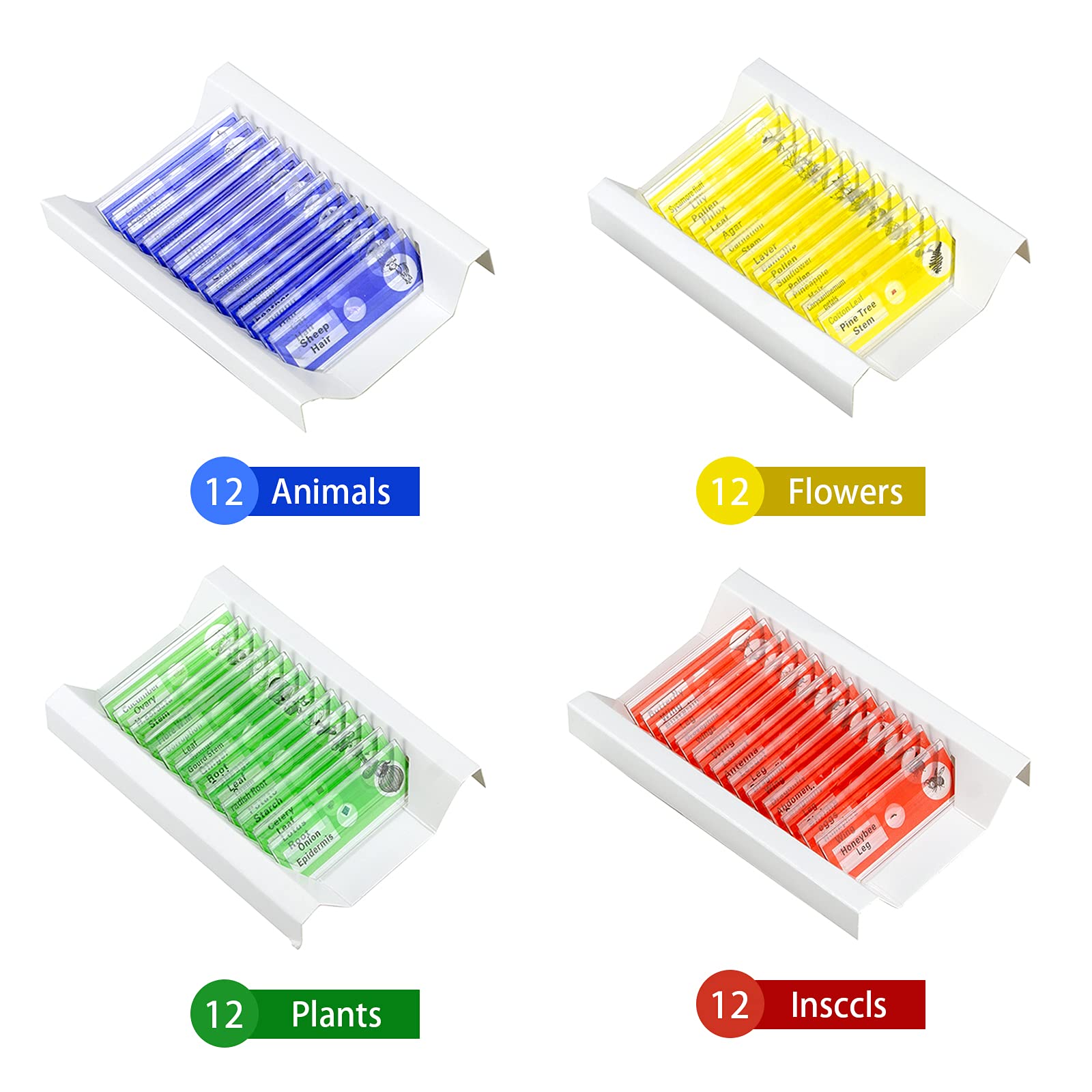 Microscope Sample Prepared Slides 48pc Kids Plastic Prepared Microscope Slides of Animals Insects Plants Flowers Sample Specimens for Stereo Kids Science Toy Educational Toy