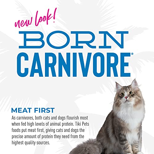 Tiki Cat Born Carnivore High Protein, Herring & Salmon Meal, Grain-Free Baked Kibble to Maximize Nutrients, Dry Cat Food, 5.6 lbs. Bag