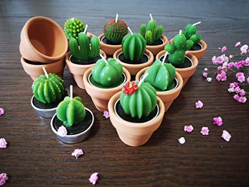 Succulent Candles, Novelty Cactus Tealight Candle Baby Shower Candle Decorations for Party Favors Terrarium Cacti candels Home Decorā¦