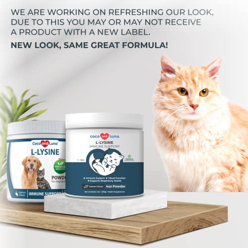 L-Lysine Supplement for Cats 4oz/120g - Cat Supplement for Sneezing and Runny Nose, Cat Cold, Cat Immune Support, Eye Function and Respiratory Health β Lysine Powder for Cats, Salmon Flavor