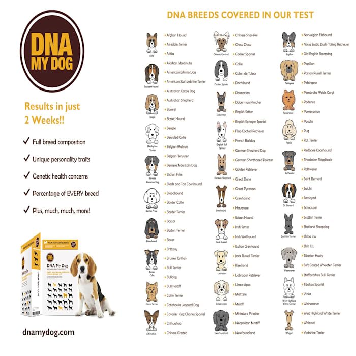 Dna My Dog Genetic Testing Kit β Essential Breed ID Test Mixed Breed Identification, Personality Traits β for Puppies to Adult Dogs, Non-Invasive Cheek Swab