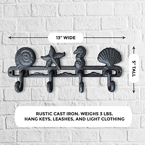 Wallcharmers Rustic Seashell Hooks | Keys, Leashes, & Outdoor Towel Holder