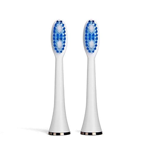 Toothbrush Head