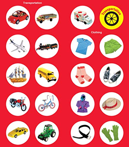 Super Duper Publications | Classifying Photo Fish- Transportation, Clothing, Animals, Food, and Around The Home Vocabulary Magnetic Game | Educational Materials for Children