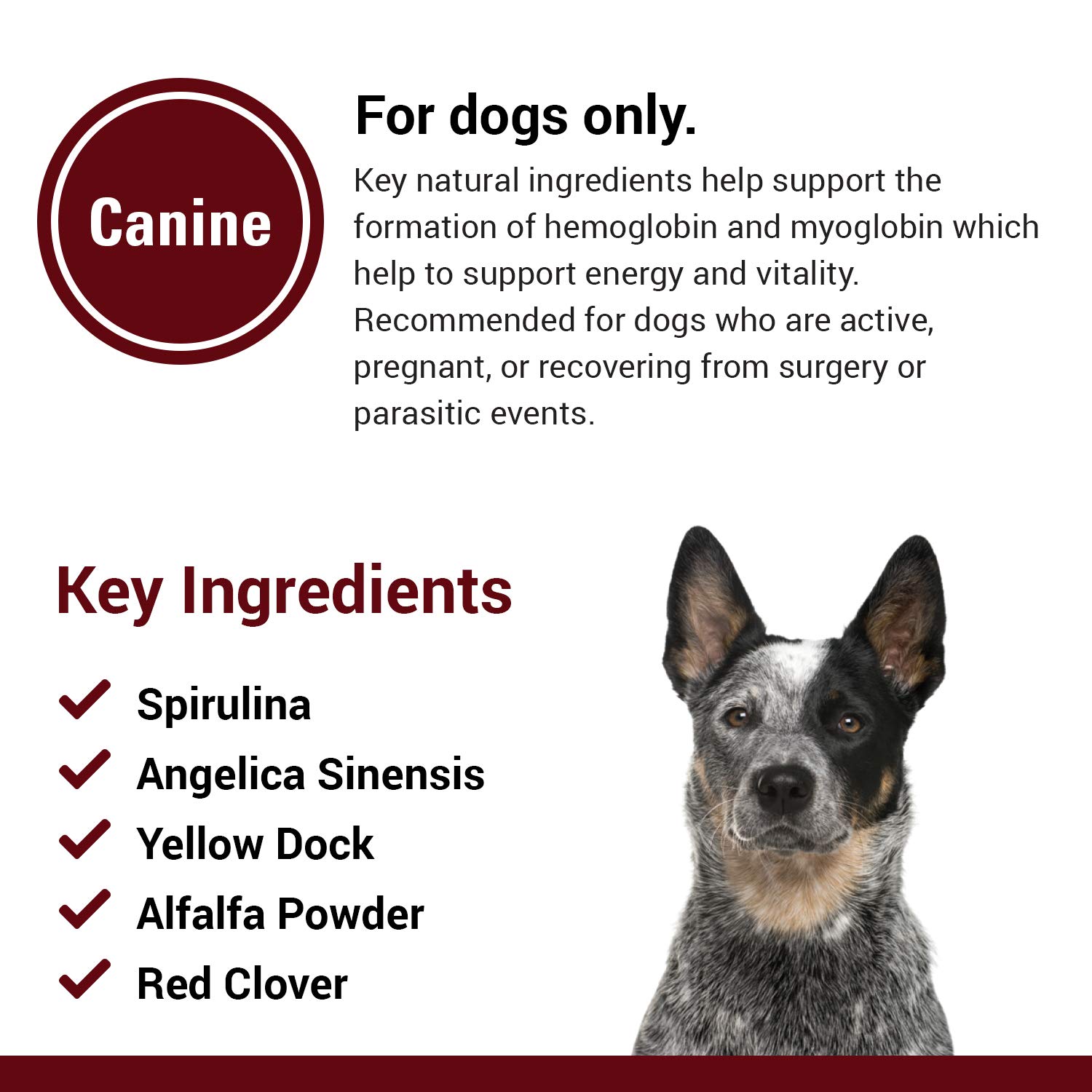 Vet Classics Blood & Energy Support for Dogs, Supports Endurance with Spirulina, Yellow Dock, & Alfalfa Support Formation of Hemoglobin and Myoglobin, 120 Chewable Tablets