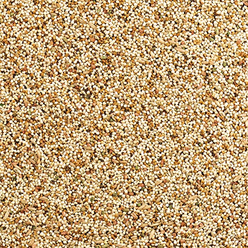 Wild Harvest Daily Blend Nutrition Diet for Parakeet, Canary and Finch 10 Pounds