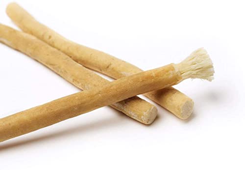 GOWO (10 Pack) Miswak Sticks Without Holders - Natural Teeth Whitening Kit - Natural Toothbrush - No Toothpaste Needed - Herbal Teeth Whitener and Breath Freshener - (Includes 10 Sticks Only)
