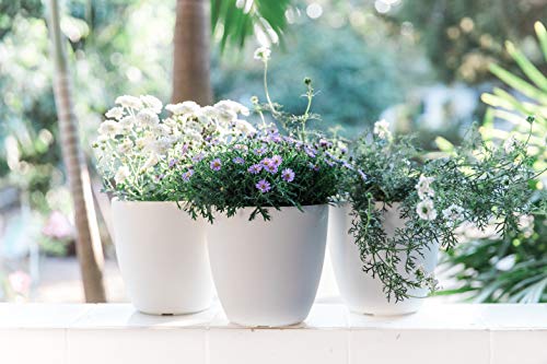 GARDENIX DECOR 7'' Self Watering planters for Indoor Plants - Flower Pot with Water Level Indicator for Plants, Grow Tracking Tool - Self Watering Planter Plant Pot - Coco Coir - White 3 Pack