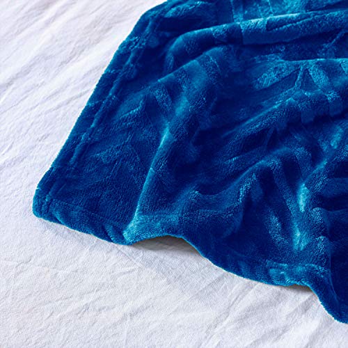 Whale Flotilla Fleece Throw Blanket for Couch, Soft Fluffy Sofa Bed Blanket with Chevron Pattern for All Season, Warm and Lightweight, 50x60 Inch, Royal Blue