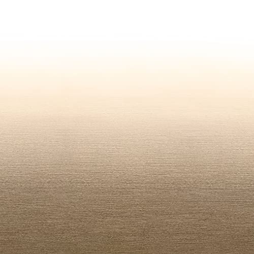 RecPro RV Awning Fabric Replacement 17 Foot Camper Awning | Tan | Width Size Options | 8' (96") Length | Heat Sealed | 3 Year Warranty (17 Feet, Actual 16' 1")