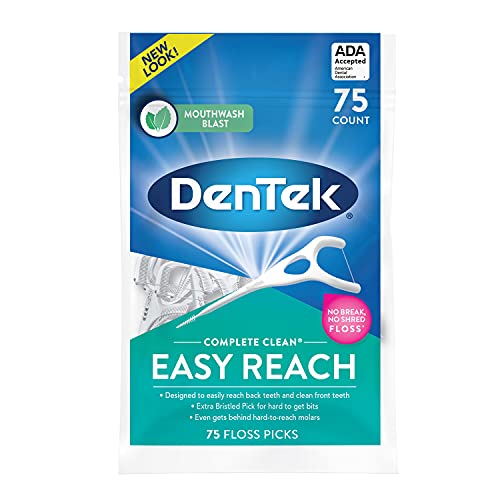 DenTek Complete Clean Floss Picks | Removes Food & Plaque | 75 Count