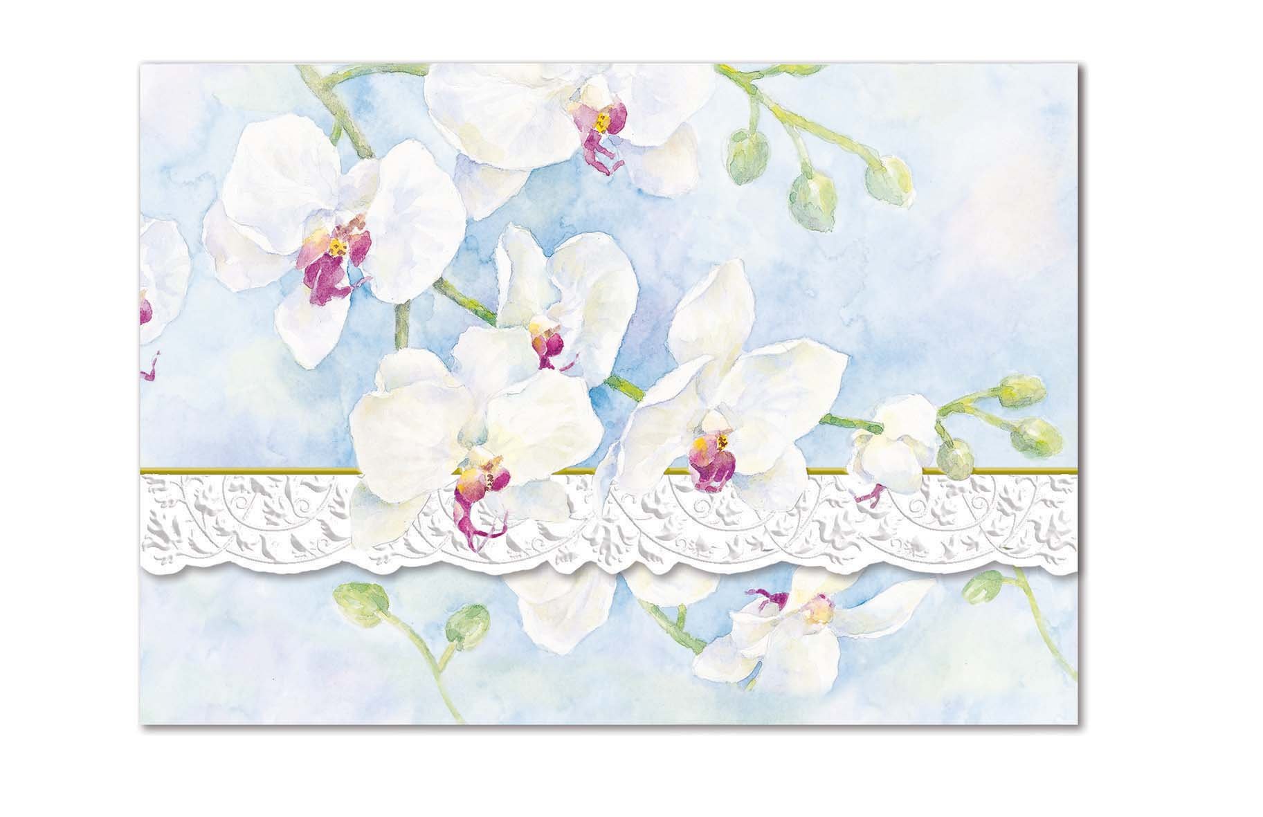 Carol Wilson Fine Arts Inc.- White Orchid - Embossed & Die Cut Blank Note Cards in Portfolio Box - 10 count - ncp2213