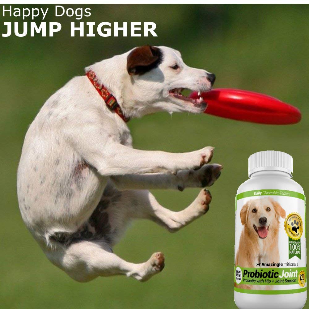 Amazing Cranberry Chews and Amazing Probiotic Joint for Dogs