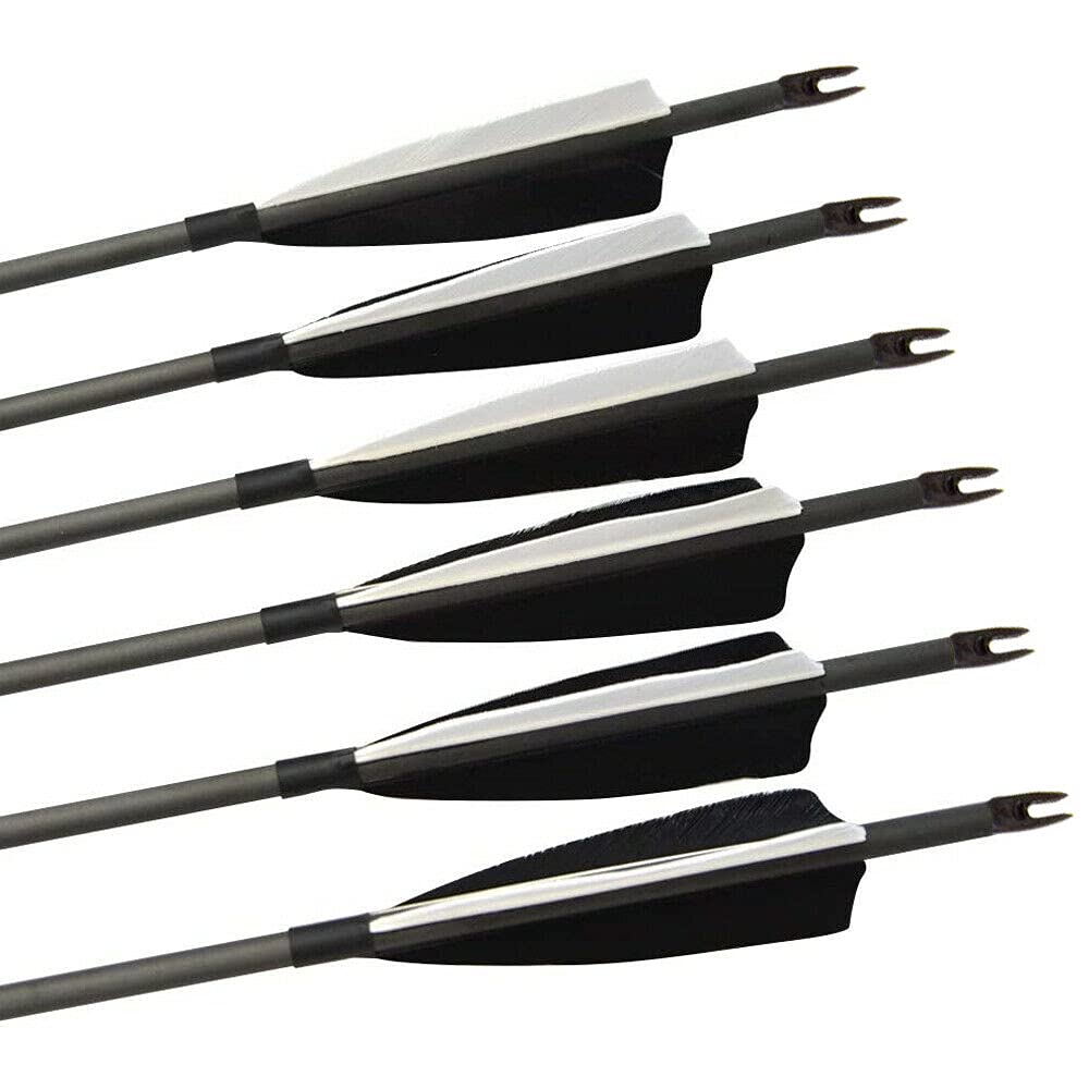 33" Archery Carbon Arrows W/Real Turkey Feather SP500 F Recurve Bow Hunting (12Pcs)