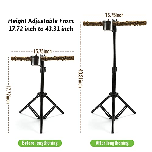 Adjustable Height Bird Perch Stand 43 INCH Parrot Training Perches Metal Bird Play Stand with Feeding Bowls for Small Birds Indoor and Outdoor