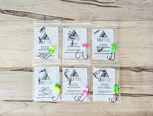 6 Pack 'Coquina Shells' Pompano Surf Fishing Rigs (25# Mono)