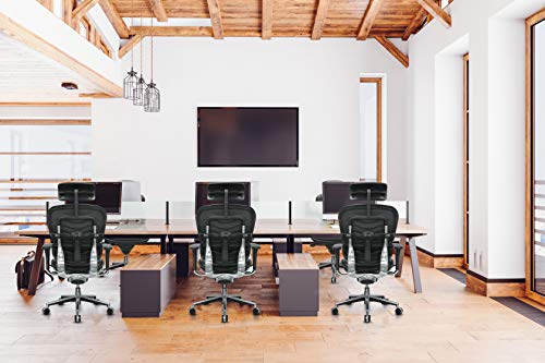 Eurotech Seating Ergohuman High Back Mesh Managers Chair, Black