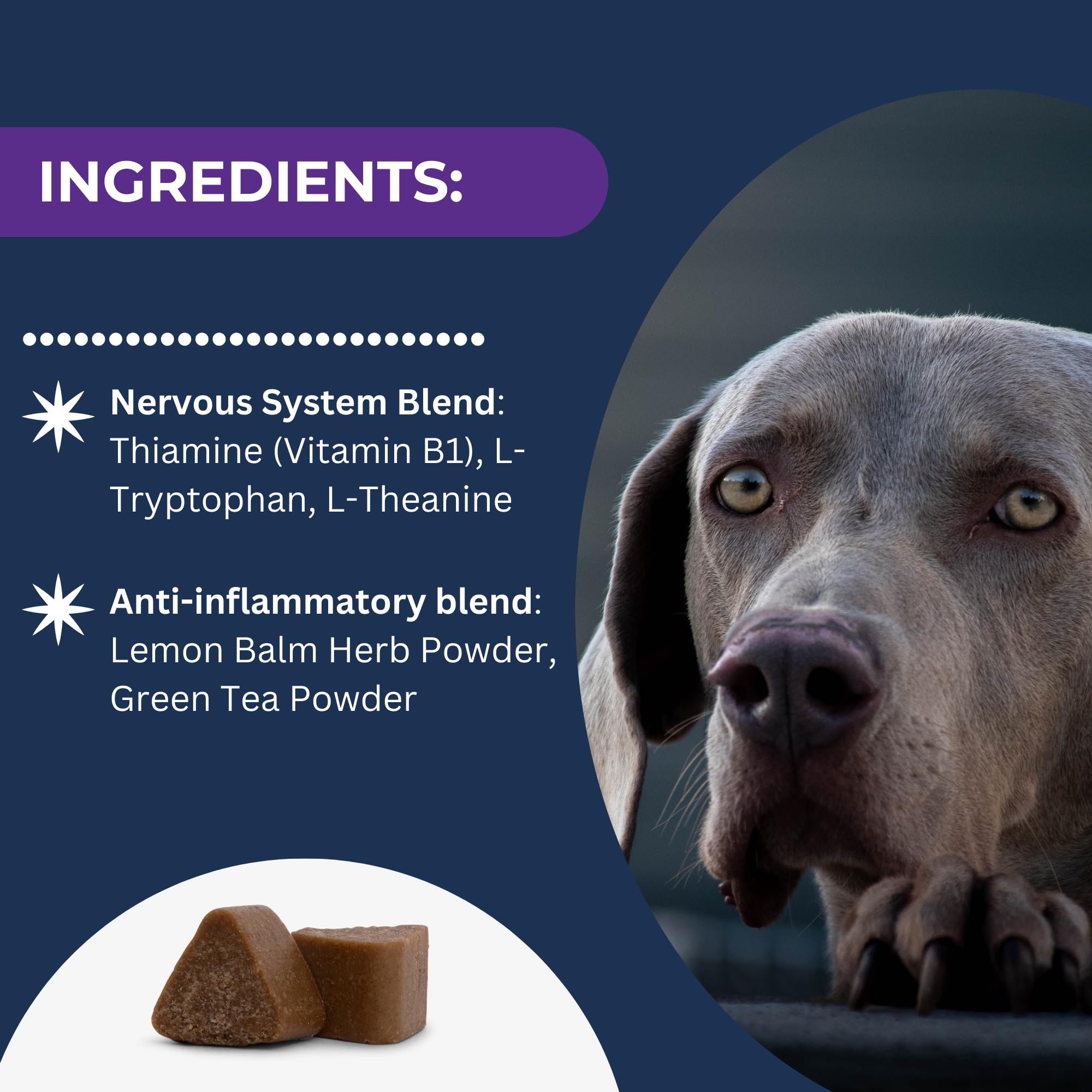 Dogletics Calm & Relax Soft Chew Supplements for Dogs - Reduce Stress & Anxiety, Behavioral Support, Promote Rest & Relaxation for Active Dogs